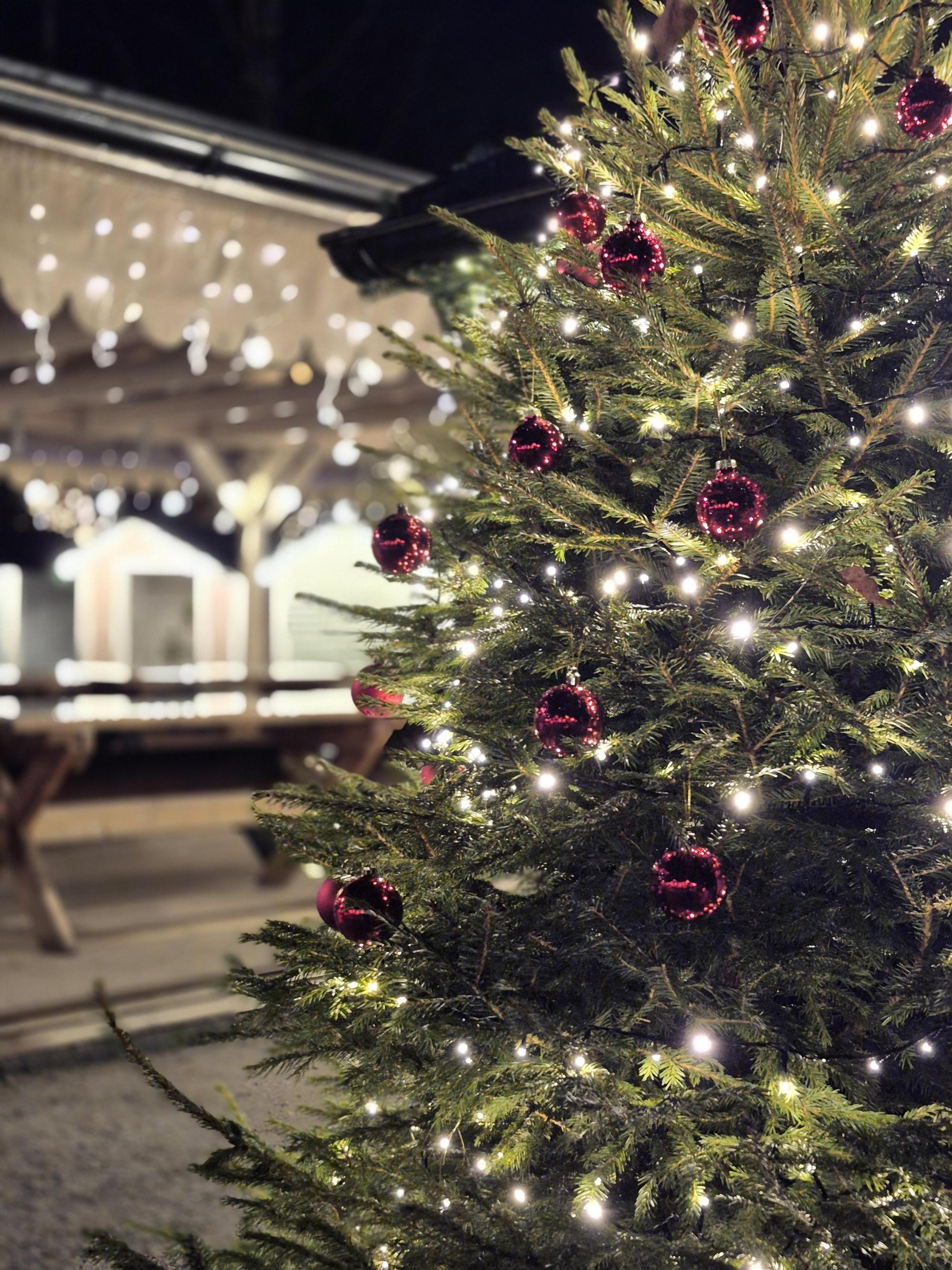 Joulumaratonin 14.12.2025 tulokset julkaistu - Tampereen Maratonklubi ry