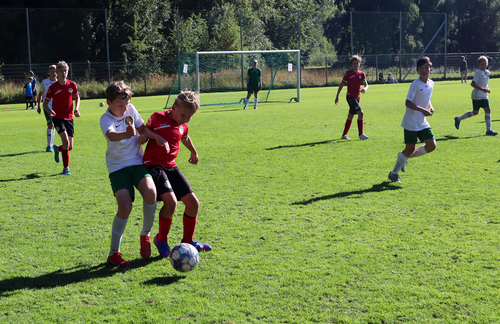 Leppävaaran Pallo ry