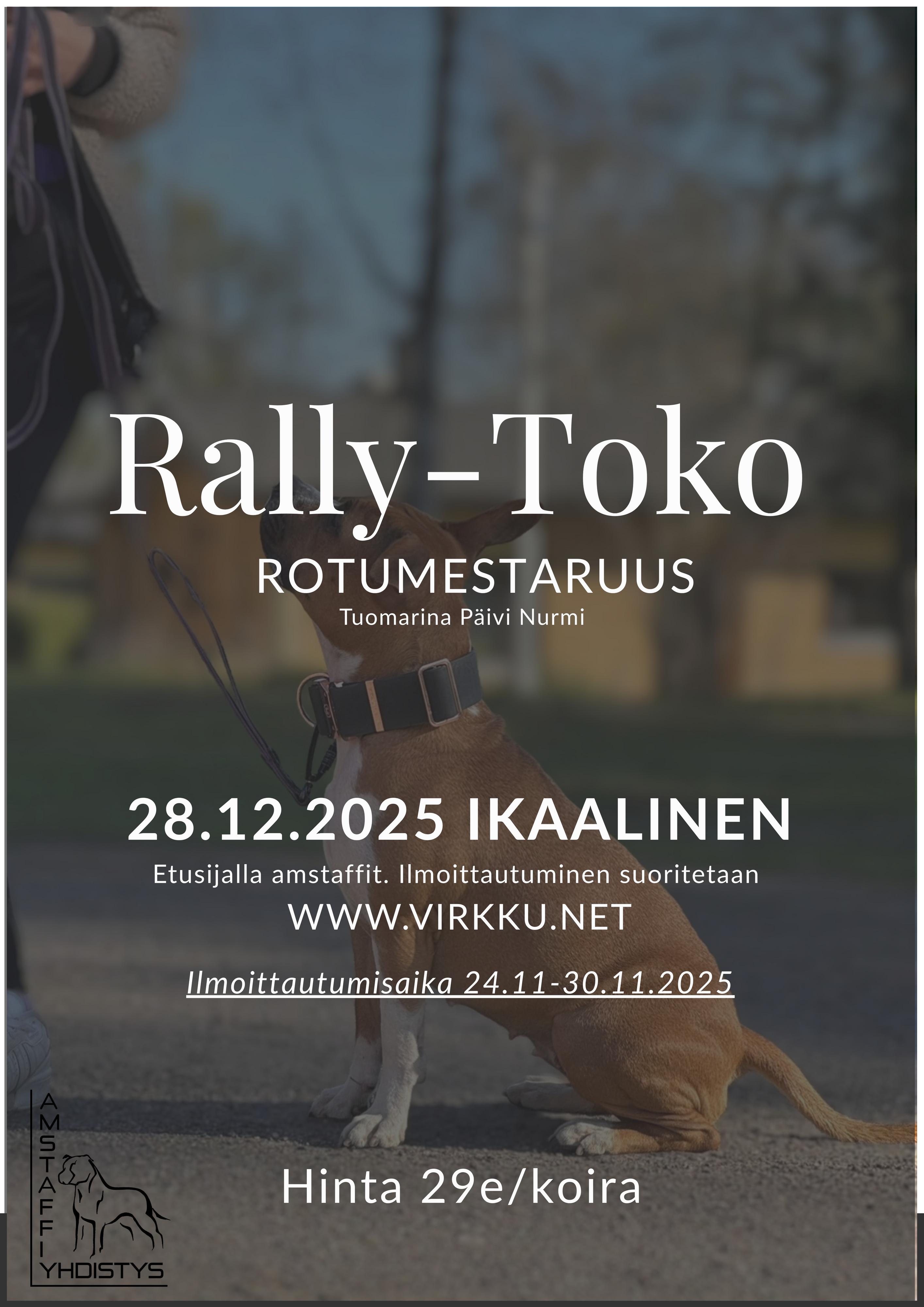 Rally-tokon rotumestaruus 28.12.2025 - Suomen ...