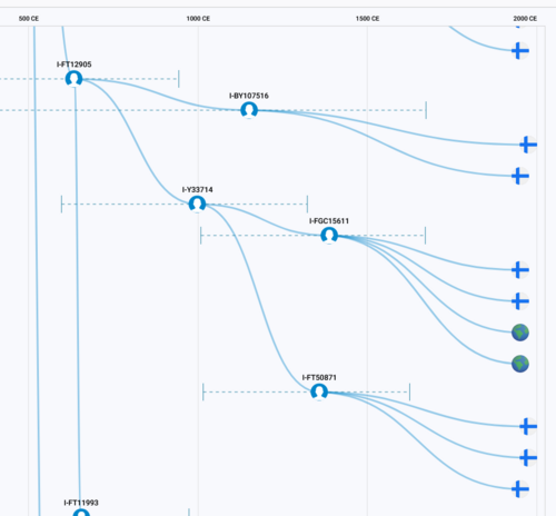 SUGES - Y-DNA-haploryhmä - Suomen Geneettisen Sukututkimuksen Seura ry