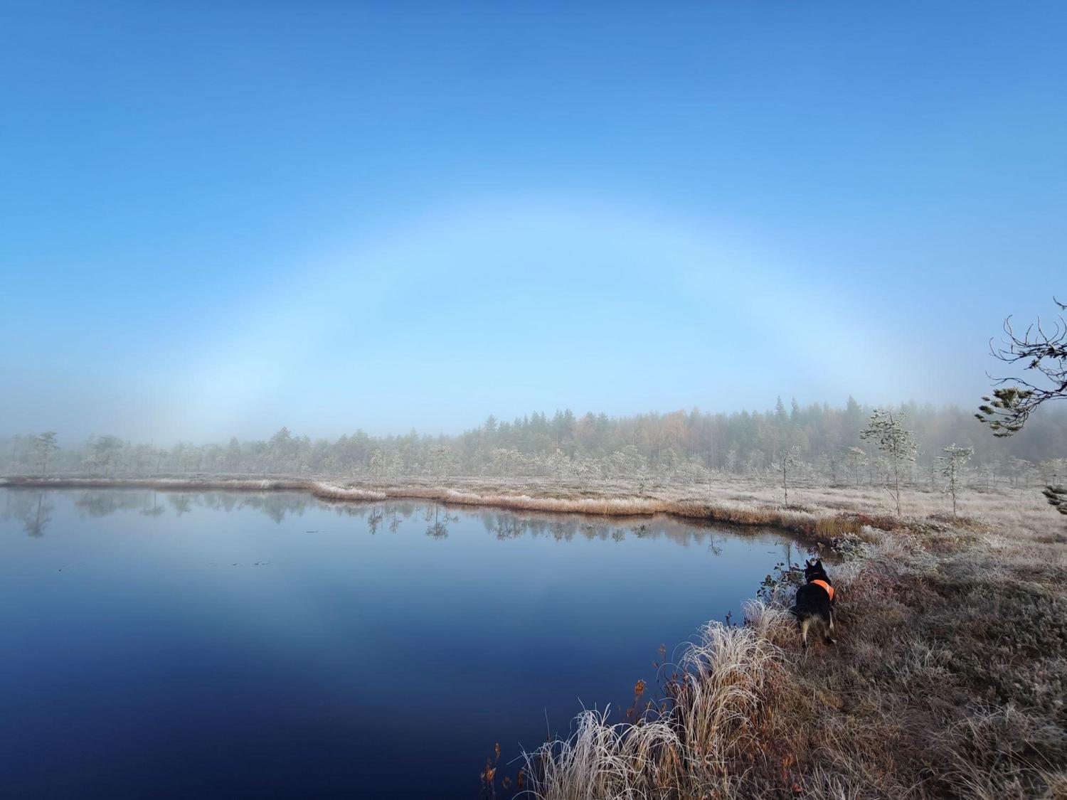 Korpinsuon kutsu - Maaseudun Sivistysliiton Vaara-Karjalan ...